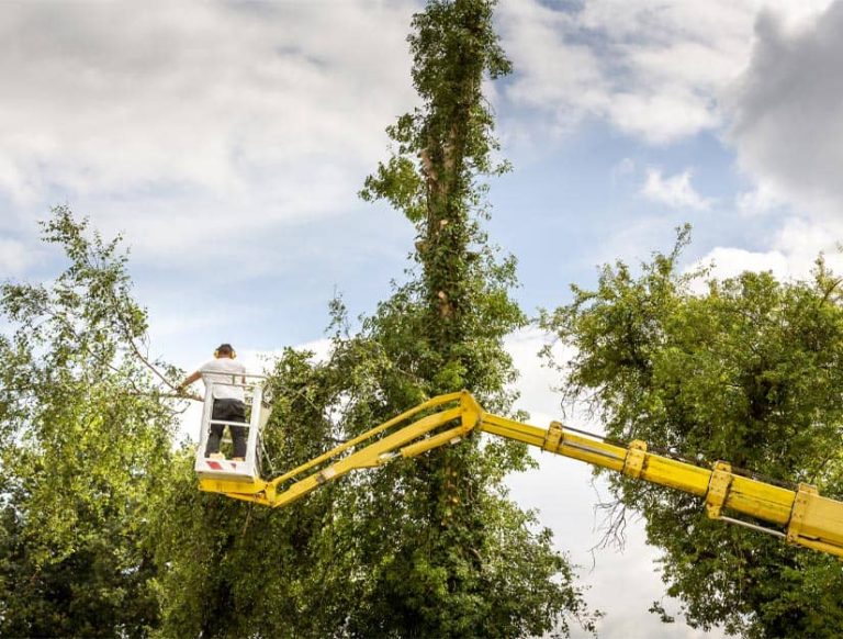 What Is A Cherry Picker? Usage, Tips And Selecting Guide | 2023