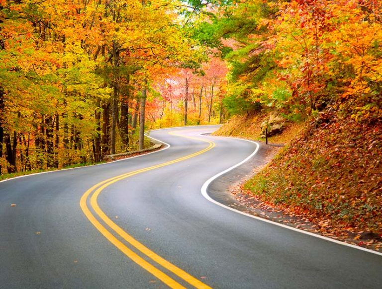 The Longest Road In The UK: A 2024 List & Roadways Fun Facts