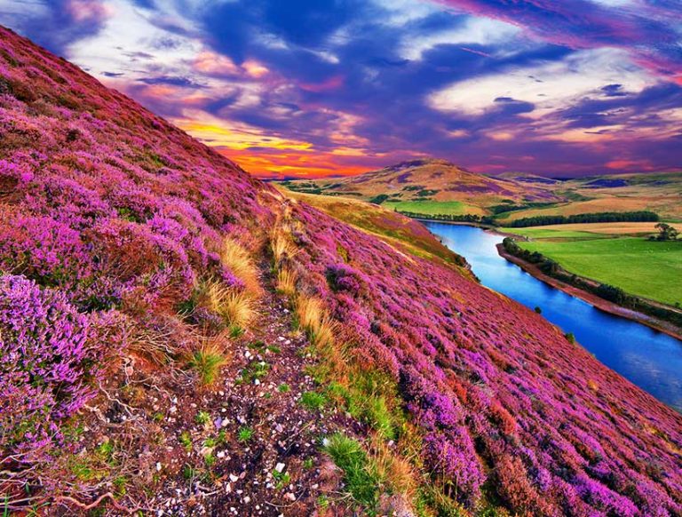 Scottish Highlands Road Trip Itinerary: 2024 Day-By-Day + All Tips