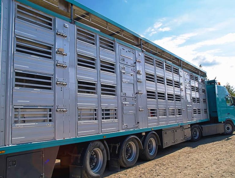 Types Of Trucks: The Ultimate List Of 27 Different Lorries