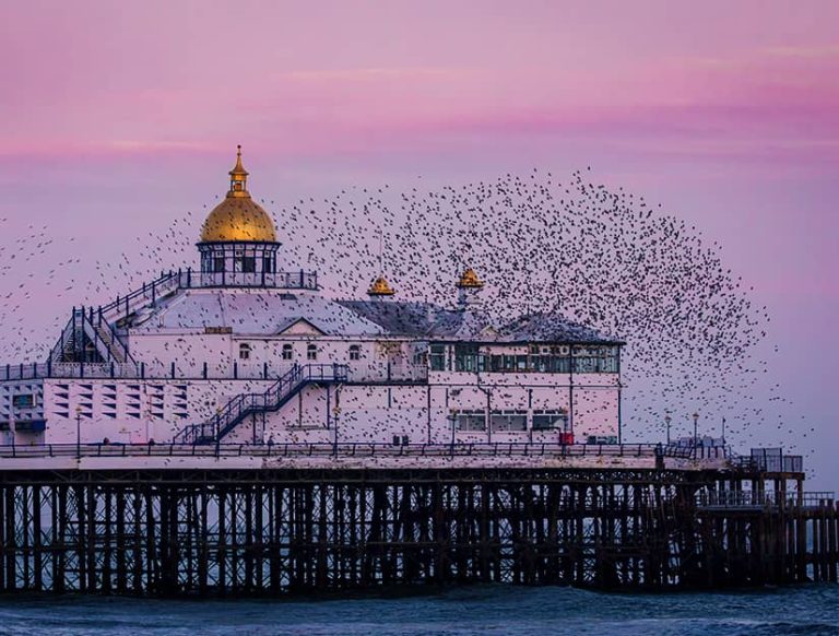15 Best Things To Do In Eastbourne: From Beach To Seven Sisters