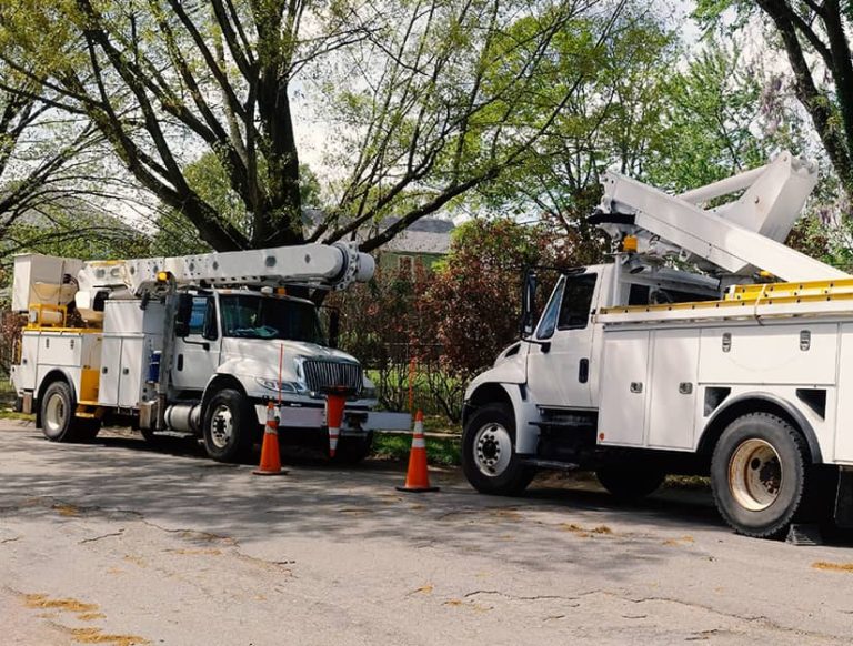 All Cherry Picker Types, Their Features & Selection Guide