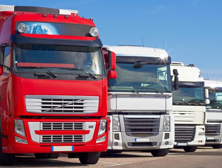 What Is A Cat C Licence?