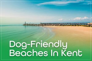 10 Best Sandy Beaches In Kent